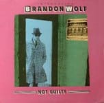Brandon Wolf – CanadianBands.com